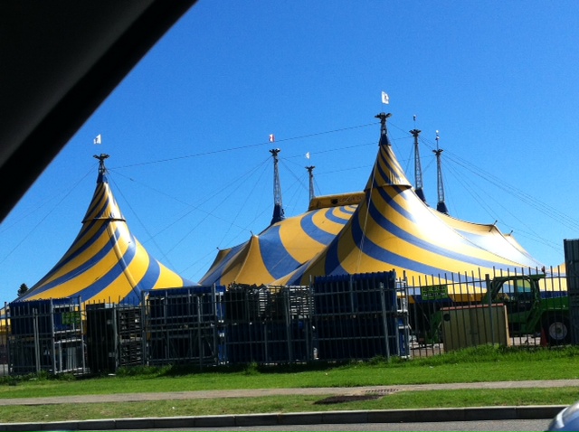 Circus/Live Shows | T.D. & C. Pty Ltd